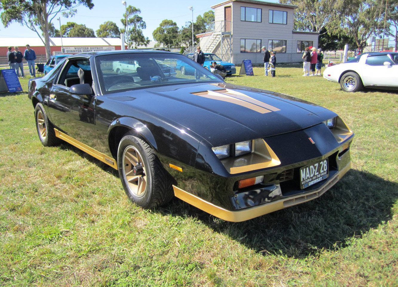 Chevrolet Camaro III Z28 5.0 V8 (190 Hp) Automatic